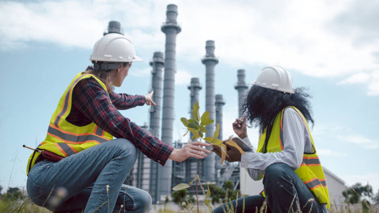 The Different Types of Carbon Credits - Gaia