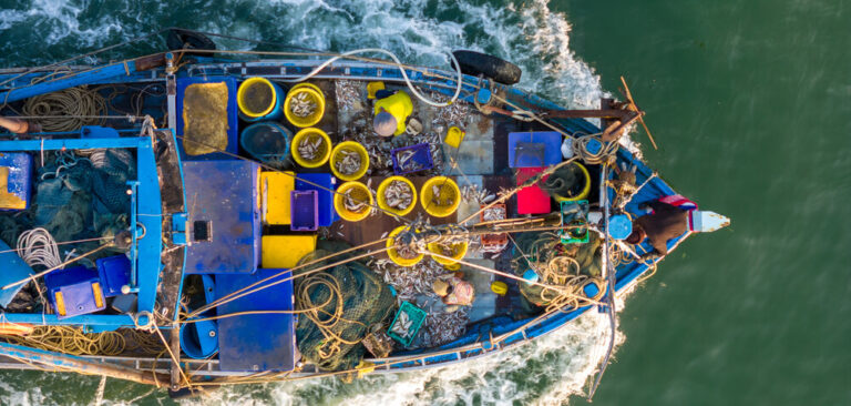 Overexploitation of Natural Resources (& Impact on Biodiversity) - Gaia